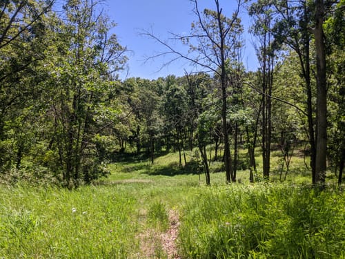 2023 Best 10 Trails and Hikes in Michigan | AllTrails