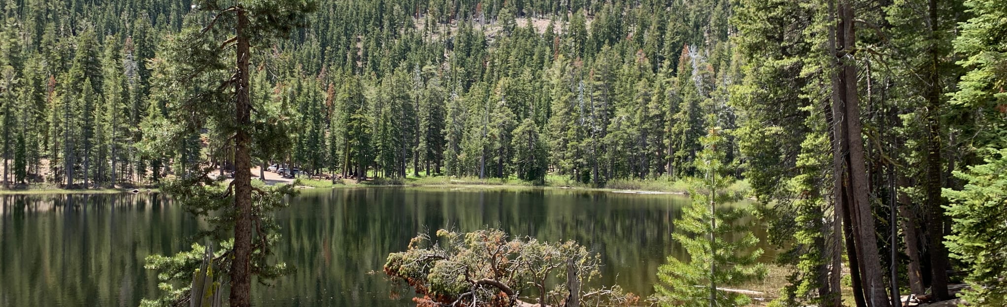 Watson Lake Walk: 31 Reviews, Map - California | AllTrails