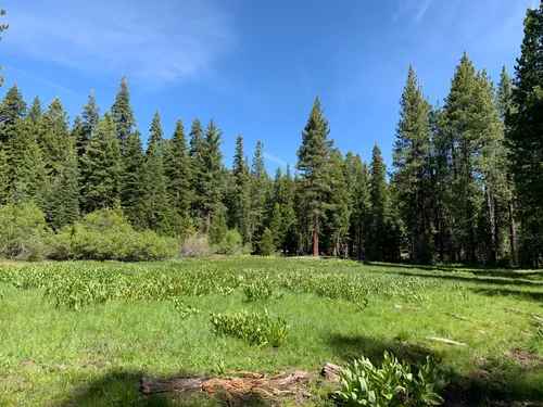 Best Hikes and Trails in Carnelian Bay | AllTrails