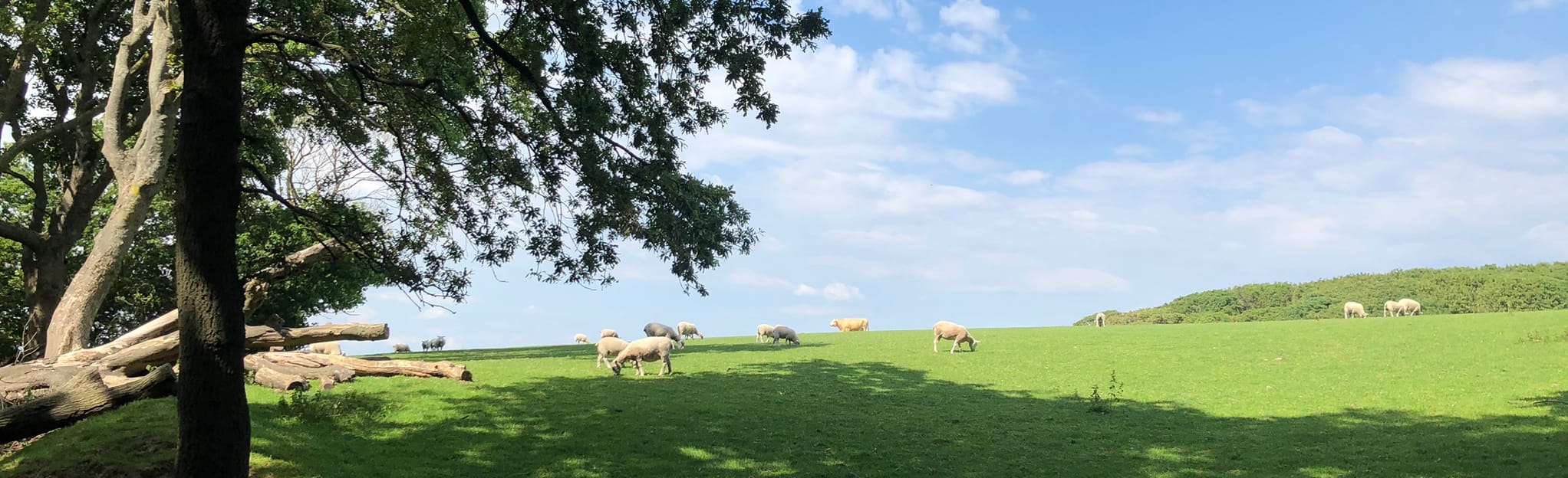 Billinge Hill and Orrell Water Park Circular - Merseyside, England ...