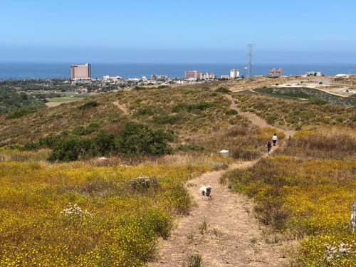 Los 10 mejores senderos y rutas en Baja California | AllTrails