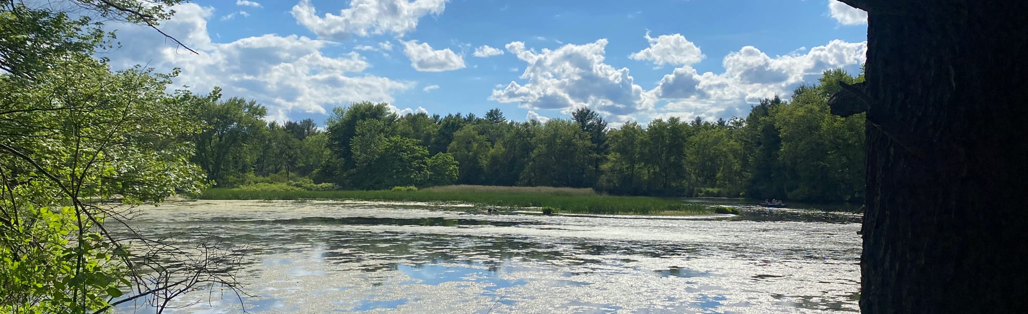 J. Harry Rich and Oxbow Loop Trail, Massachusetts - 318 Reviews, Map ...