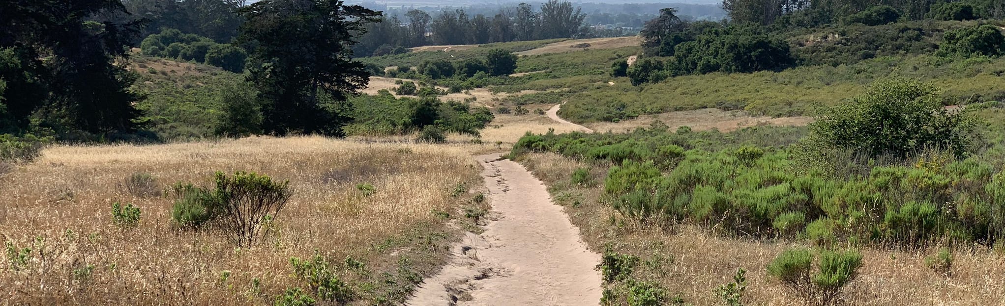 Rice Ranch Dog Park Orcutt Hill Loop | Map, Guide - California | AllTrails