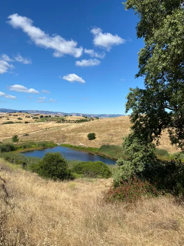 10 Best Hikes and Trails in Calero County Park | AllTrails