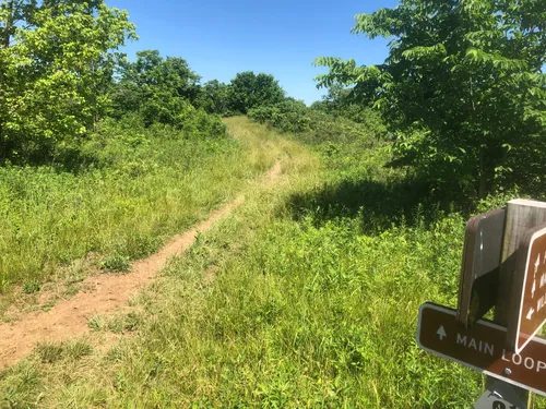 10 Best Hikes and Trails in Wayne National Forest | AllTrails