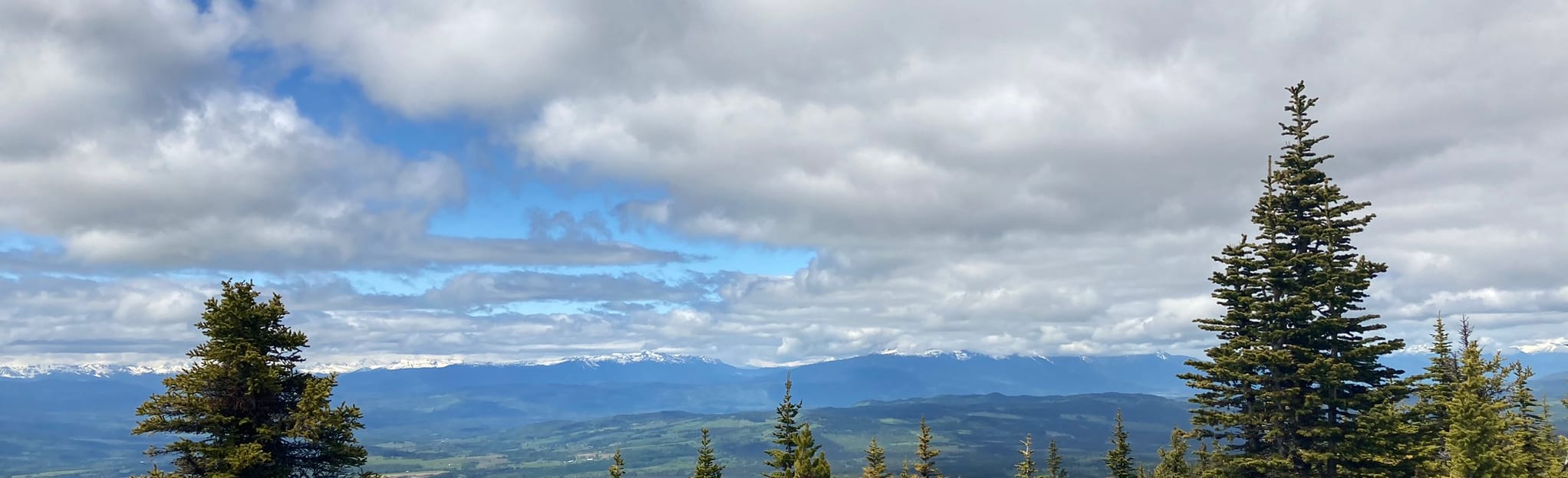 Moose Mountain, British Columbia, Canada - 17 Reviews, Map | AllTrails