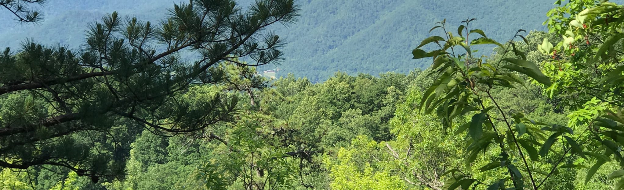 Meadow Creek Mountain Trail (Long Creek Road to Fire Tower) | Map ...