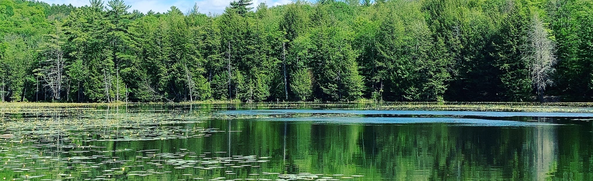 Paradise Lake: 1,248 Reviews, Map - Quebec, Canada | AllTrails