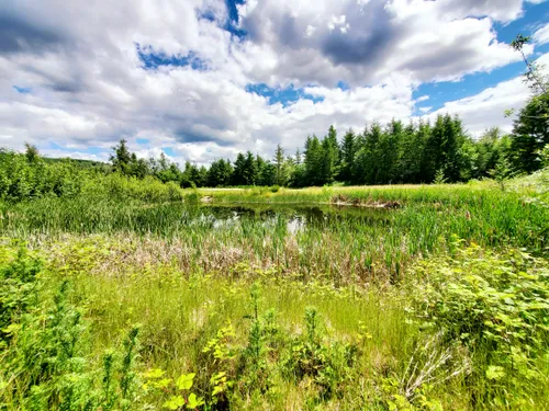 10 Best Trails and Hikes in Maple Valley | AllTrails
