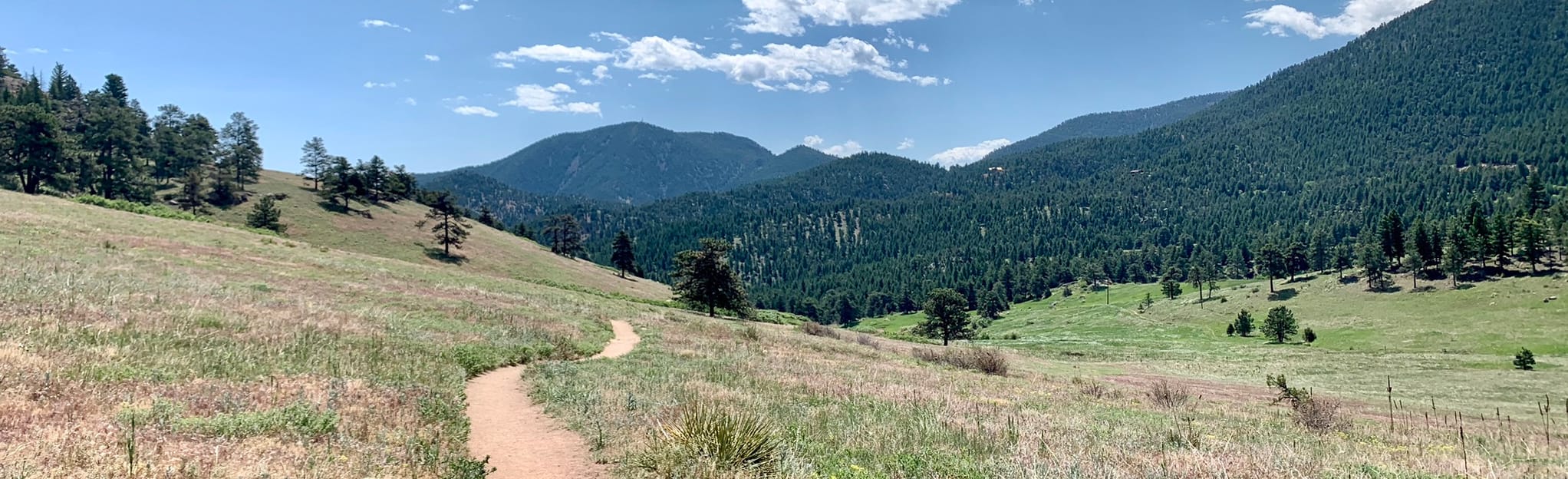 Coal Seam Trail to Walker Ranch: 15 Reviews, Map - Colorado | AllTrails
