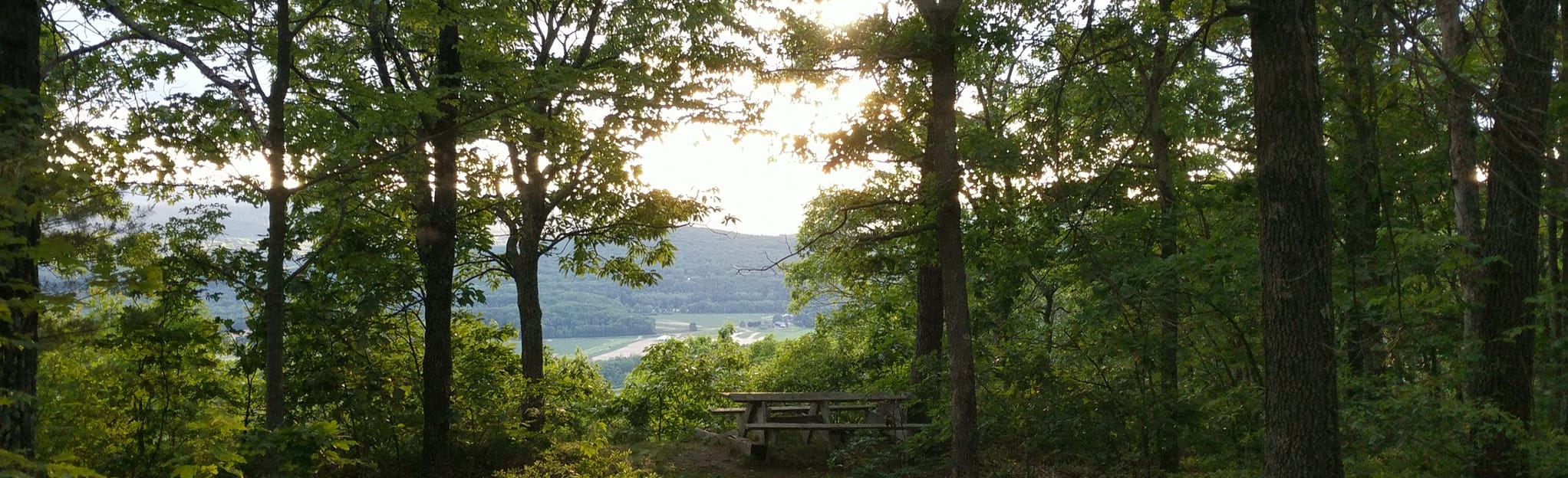 Pocumtuck Range Trail: 125 Reviews, Map - Massachusetts | AllTrails