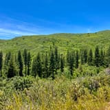 Peak 9380 Big Point, Utah - 17 Reviews, Map | AllTrails