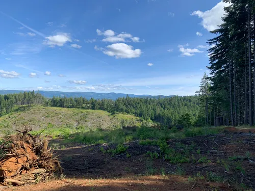 Best Hikes and Trails in Wygant State Natural Area | AllTrails