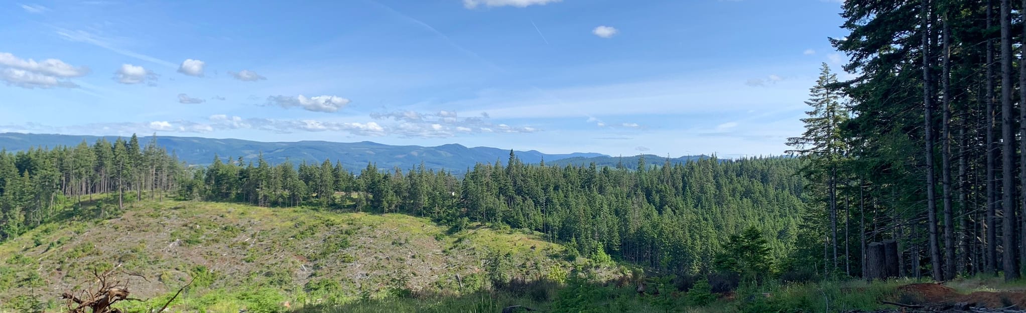 Post Canyon Hot Lap, Oregon - 58 Reviews, Map | AllTrails