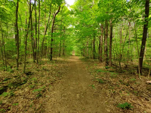 10 Best Hikes and Trails in Durham Regional Forest | AllTrails