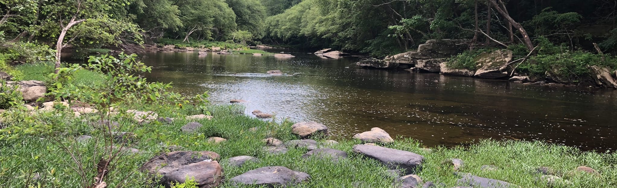 Burnt Mill Loop Trail, Tennessee - 422 Reviews, Map | AllTrails