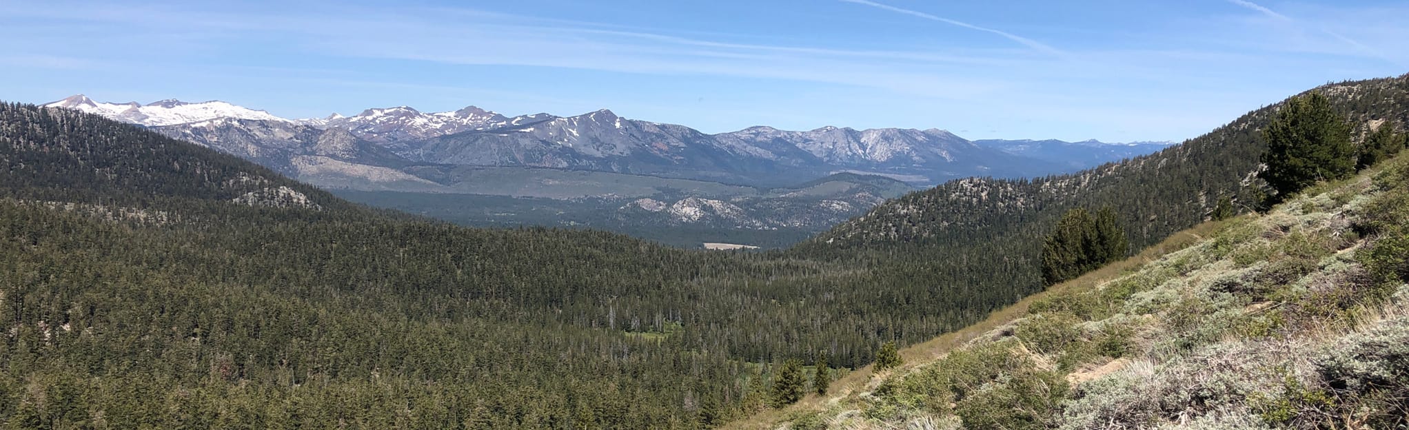 Freel Peak from Armstrong Pass, California - 445 Reviews, Map | AllTrails