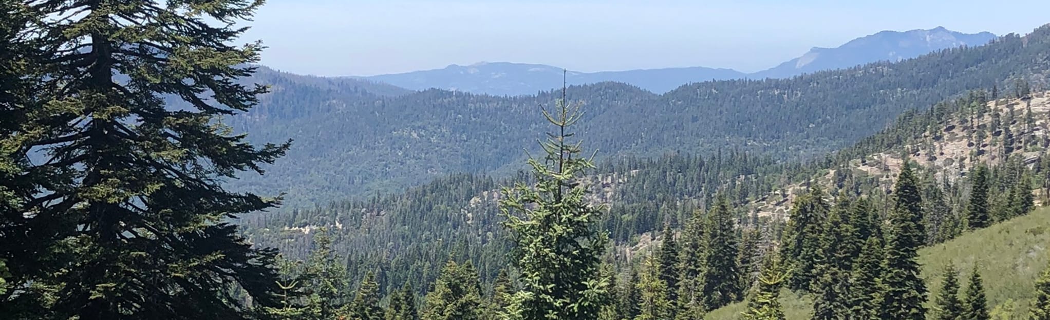 Slate Mountain via Windy Gap Trail: 16 Fotos - Kalifornien | AllTrails