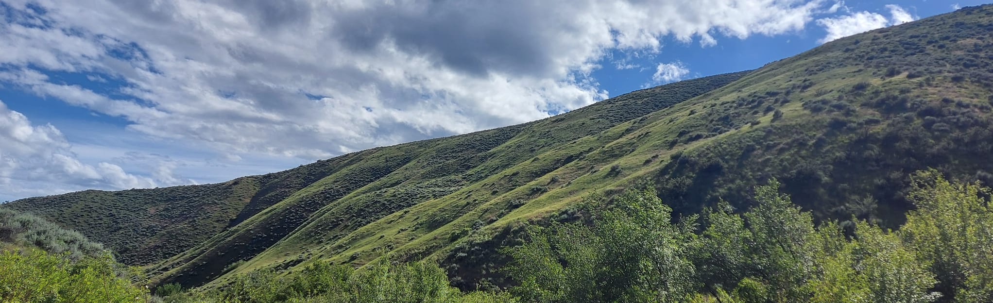 AllTrails | Dry Creek Trail: 170 Reviews, Map - Idaho