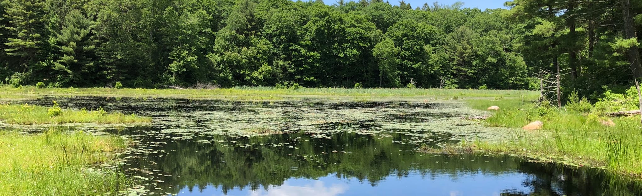 Natchaug trail: 12 Reviews, Map - Connecticut | AllTrails