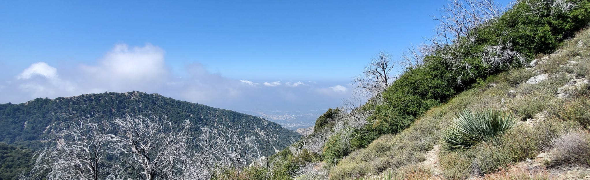 Mount Lowe Trail Camp and Inspiration Point via Mount Lowe Motorway ...