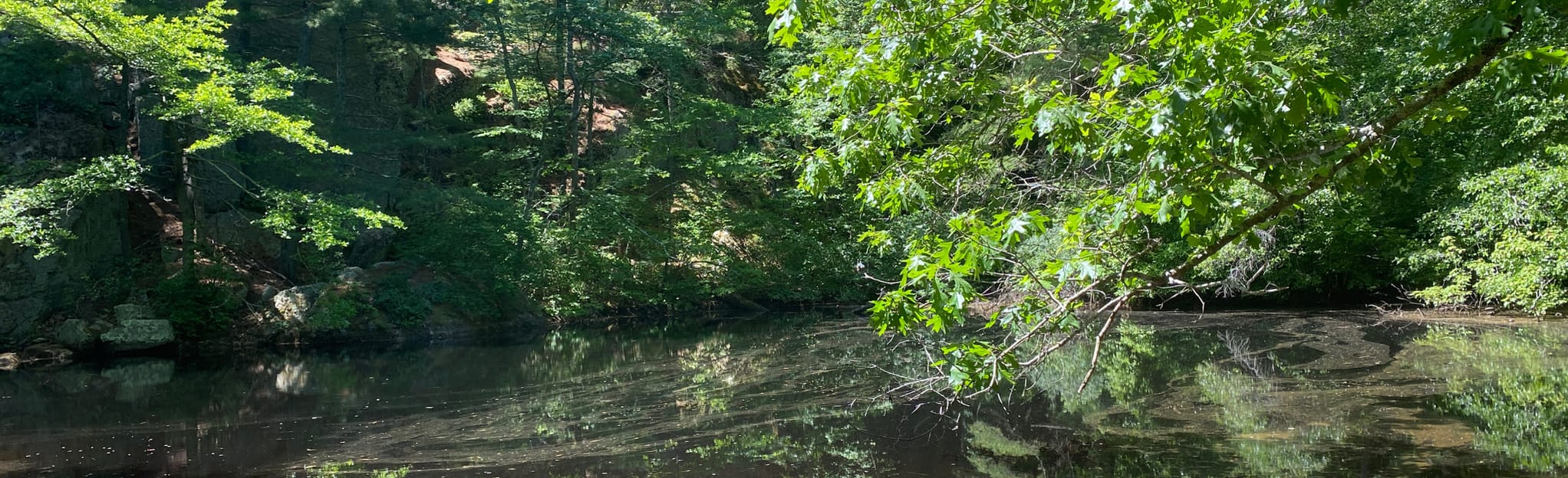 Wheelwright Trail: 41 Reviews, Map - Massachusetts | AllTrails