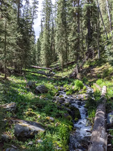 10 Best Lake Trails in Carson National Forest | AllTrails