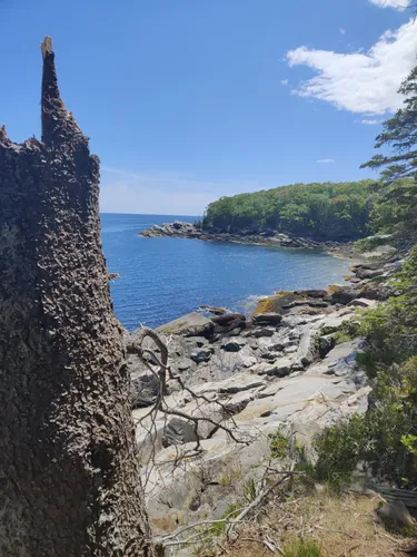 Best Hikes and Trails in La Verna Preserve | AllTrails