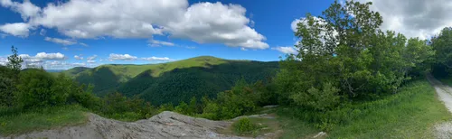 10 Best Hikes and Trails in Mount Greylock State Reservation | AllTrails