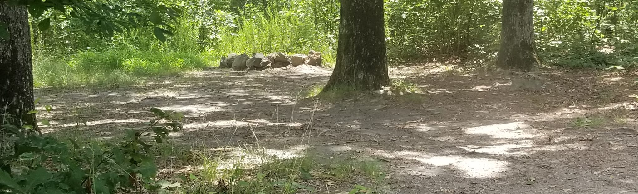 Lake Winona Loop: 11 Reviews, Map - Arkansas | AllTrails