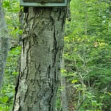 Mattatuck Trail: Wolcott to Brophy Pond, Connecticut - 146 Reviews, Map ...
