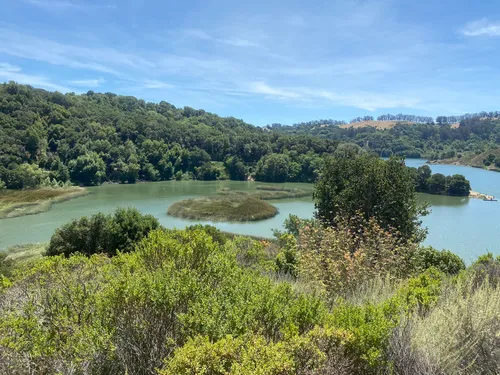 10 Best Moderate Trails in Lake Chabot Regional Park | AllTrails