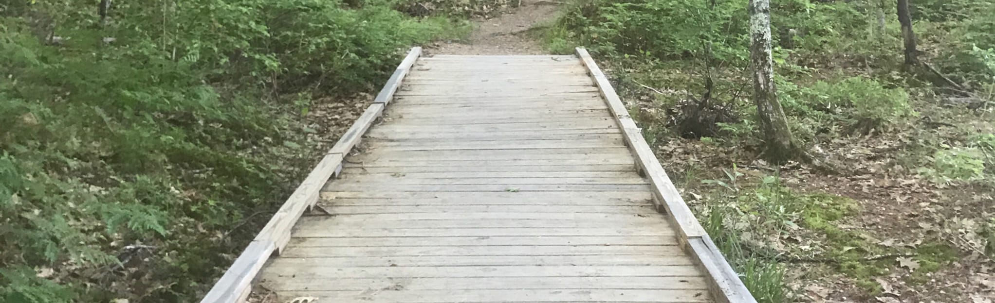 Sebago Lake State Park: Outer Loop from Cub Point: 250 Reviews, Map ...