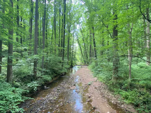 10 Best Trails and Hikes in Delaware | AllTrails
