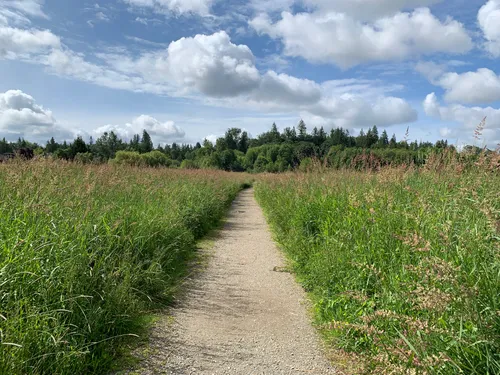 10 Best Walking Trails in Langley | AllTrails