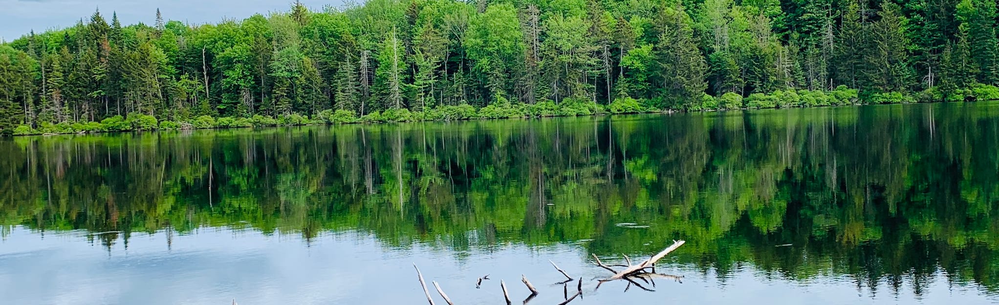 Round Pond Trail, Vermont - 21 Reviews, Map | AllTrails