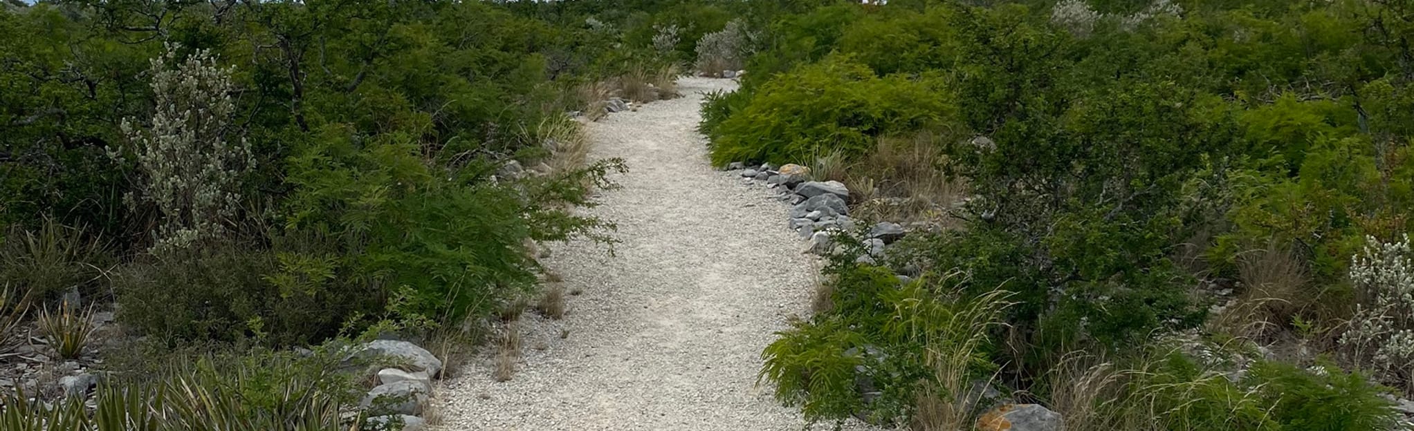 Diablo East Nature Trail: 22 Reviews, Map - Texas | AllTrails