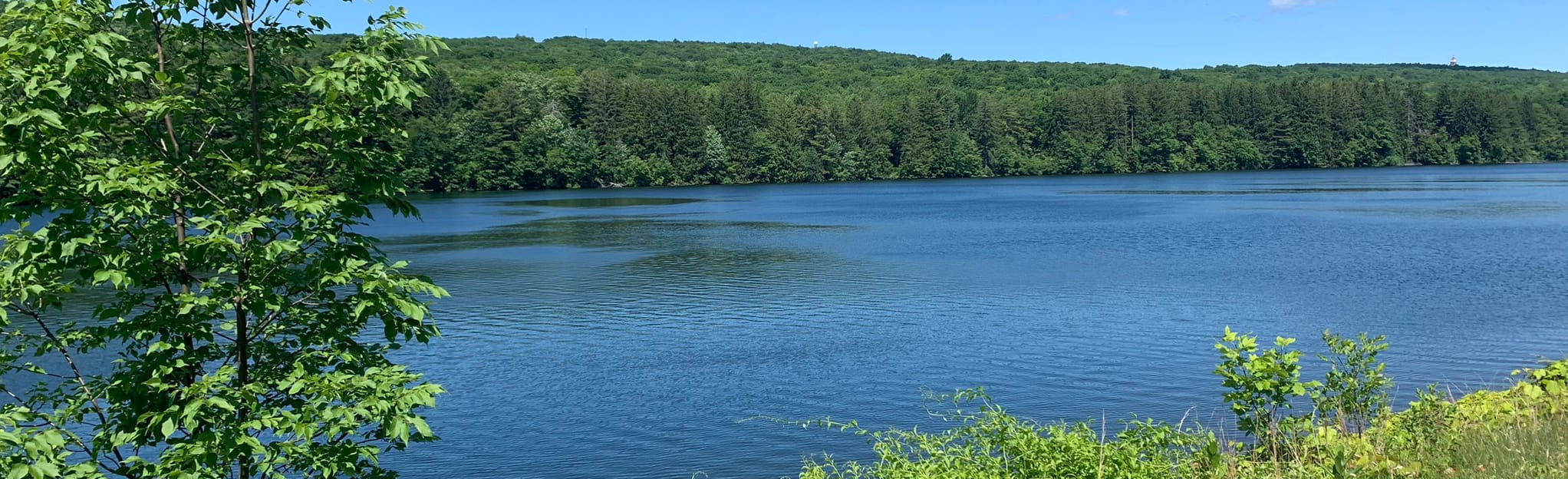 Route 44 Reservoir to Heublein Tower: 172 Reviews, Map - Connecticut ...
