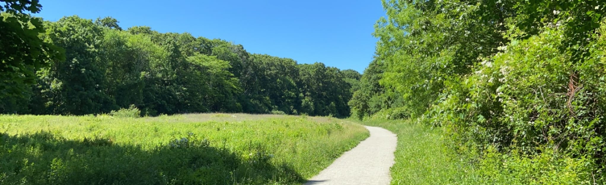 Cumberland Monastery Trail: 1723 Reviews, Map - Rhode Island | AllTrails