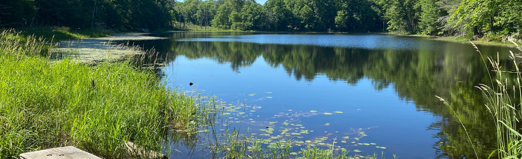 AllTrails | Fort Nature Red, Yellow, Blue, and White Trail: 379 Reviews ...