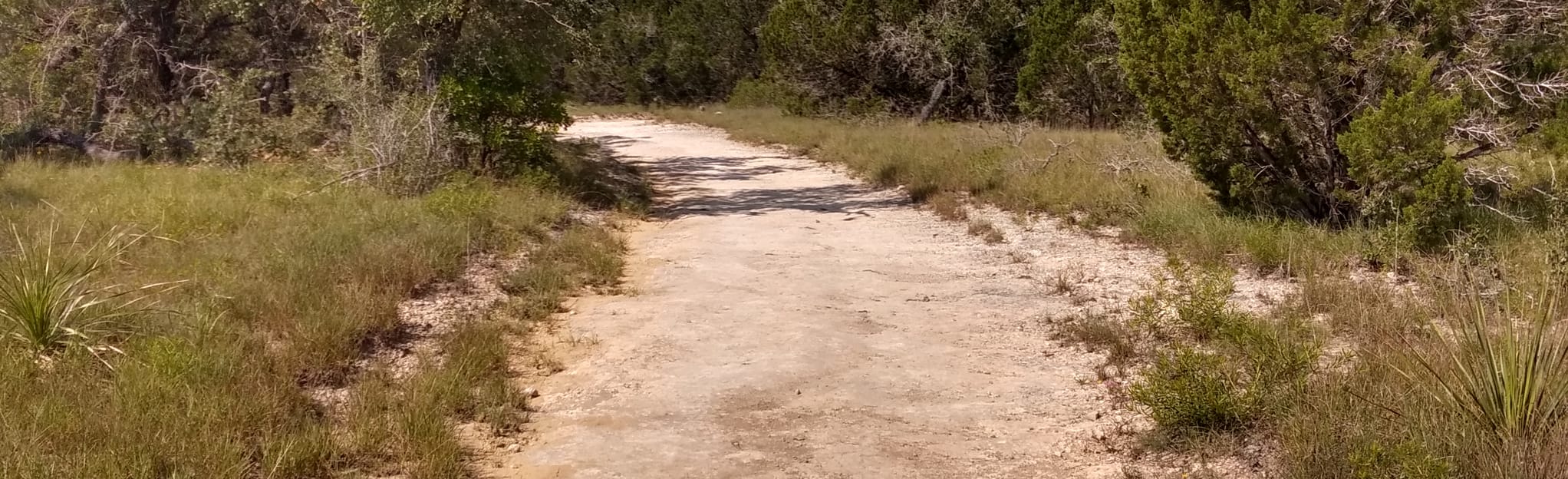 Bandera Creek and Wilderness Trail, Texas - 19 Reviews, Map | AllTrails