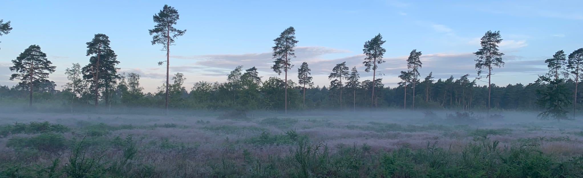 Swinley Forest, Caesar's Camp and The Look Out Circular: 68 Reviews ...