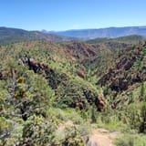 Utah Giant Sequoia Tree, Utah - 92 Reviews, Map | AllTrails