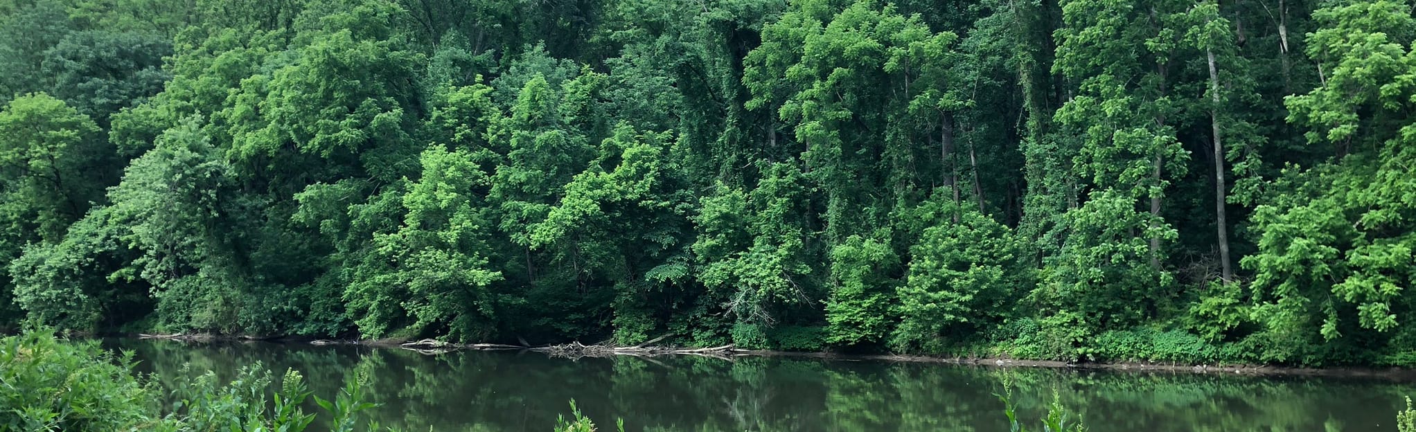 Rocky Run Loop, Delaware - 757 Reviews, Map | AllTrails