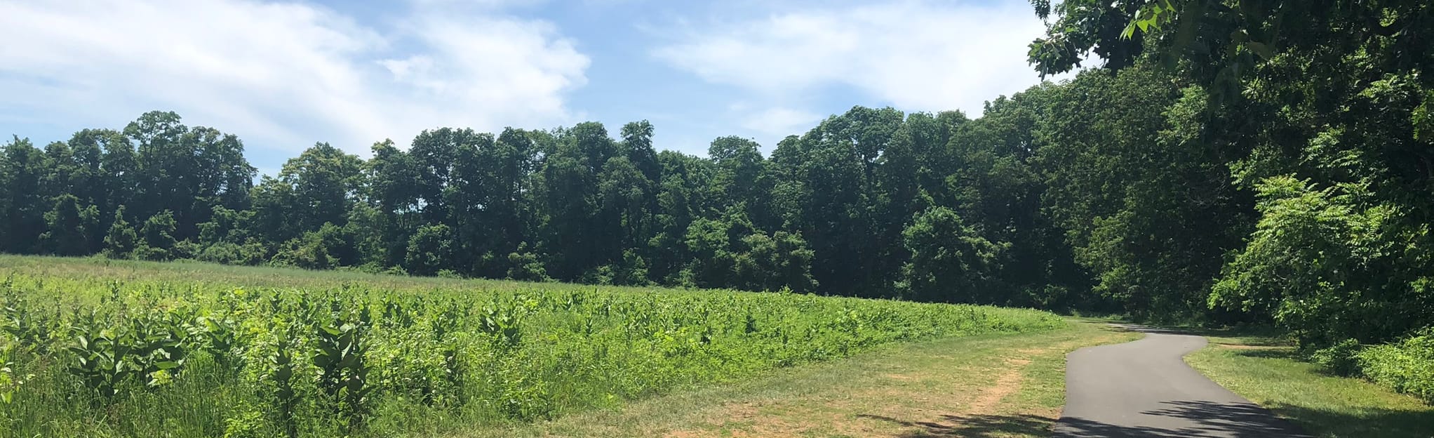 Dorbrook Park West Loop: 46 foto's - New Jersey | AllTrails