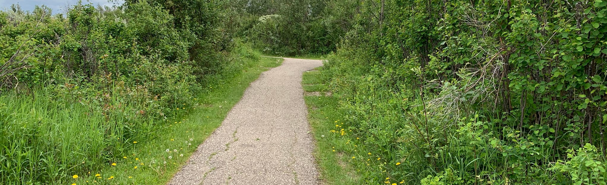 Saskatoon Island Provincial Park Trails, Saskatchewan, Canada - 38 ...