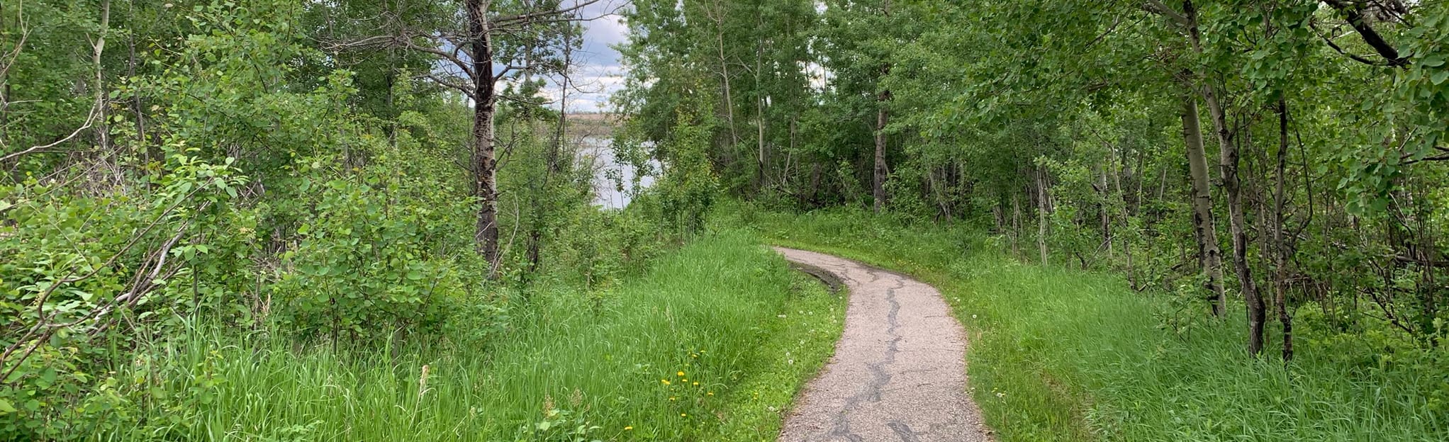 Little Lake Trail, Alberta, Canada - 41 Reviews, Map | AllTrails