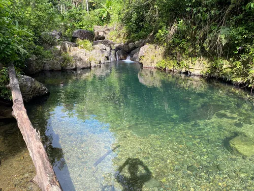 Best Hikes and Trails in Toro Negro State Forest | AllTrails