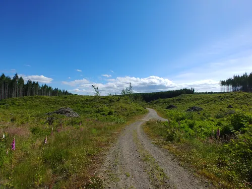 Best Hikes and Trails in Port Gamble Forest Heritage Park | AllTrails