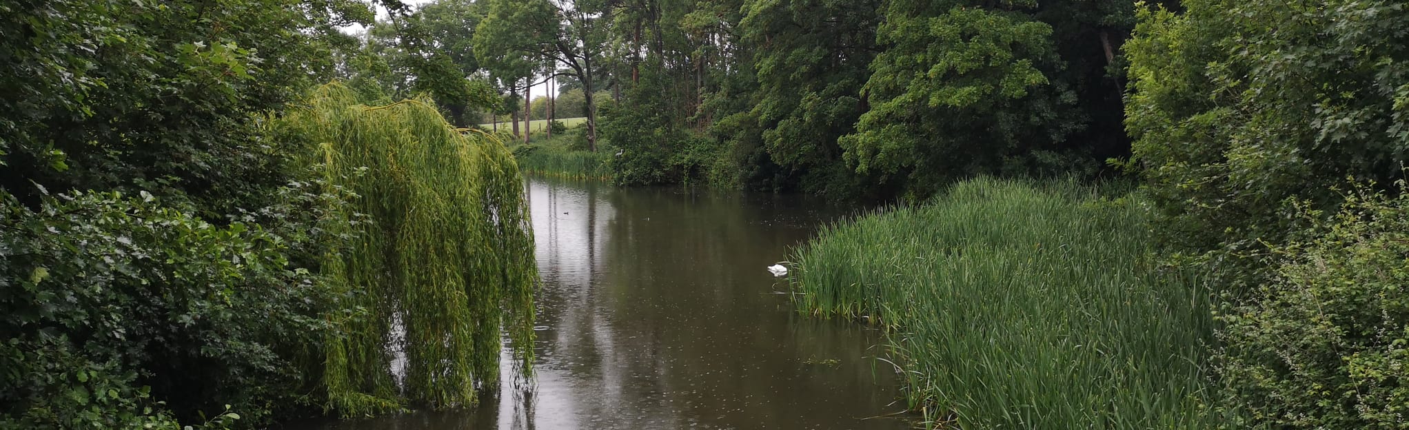 Newport, Arkesden, and Debden Circular, Essex, England - 2 Reviews, Map ...